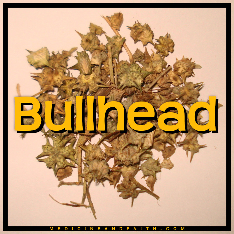 Bullhead – Medicine and Faith